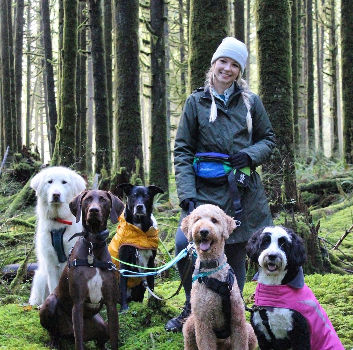 Terra Coffey Dog Walking – TinyHorse Mercantile