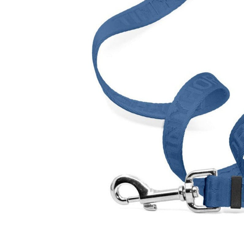 2-Dog Lite Standard Security Bundles – TinyHorse Mercantile