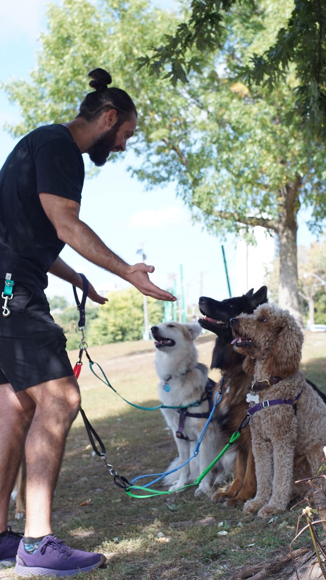 TinyHorse - Walk Multiple Dogs – TinyHorse Mercantile