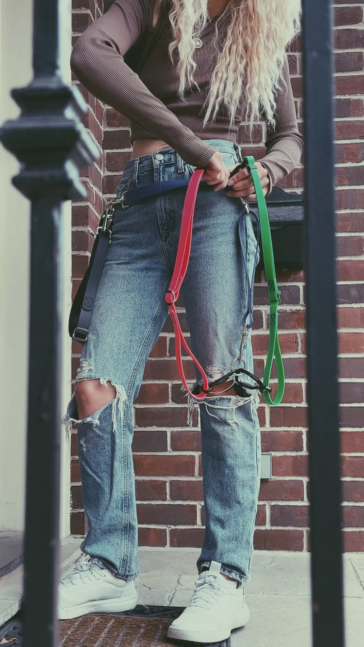 Multi Dog Leash - Walk Multiple Dogs – TinyHorse Mercantile